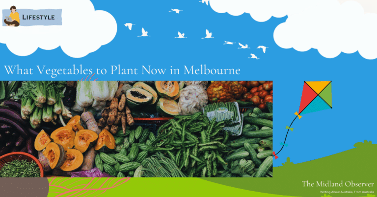 What Vegetables to Plant Now in Melbourne